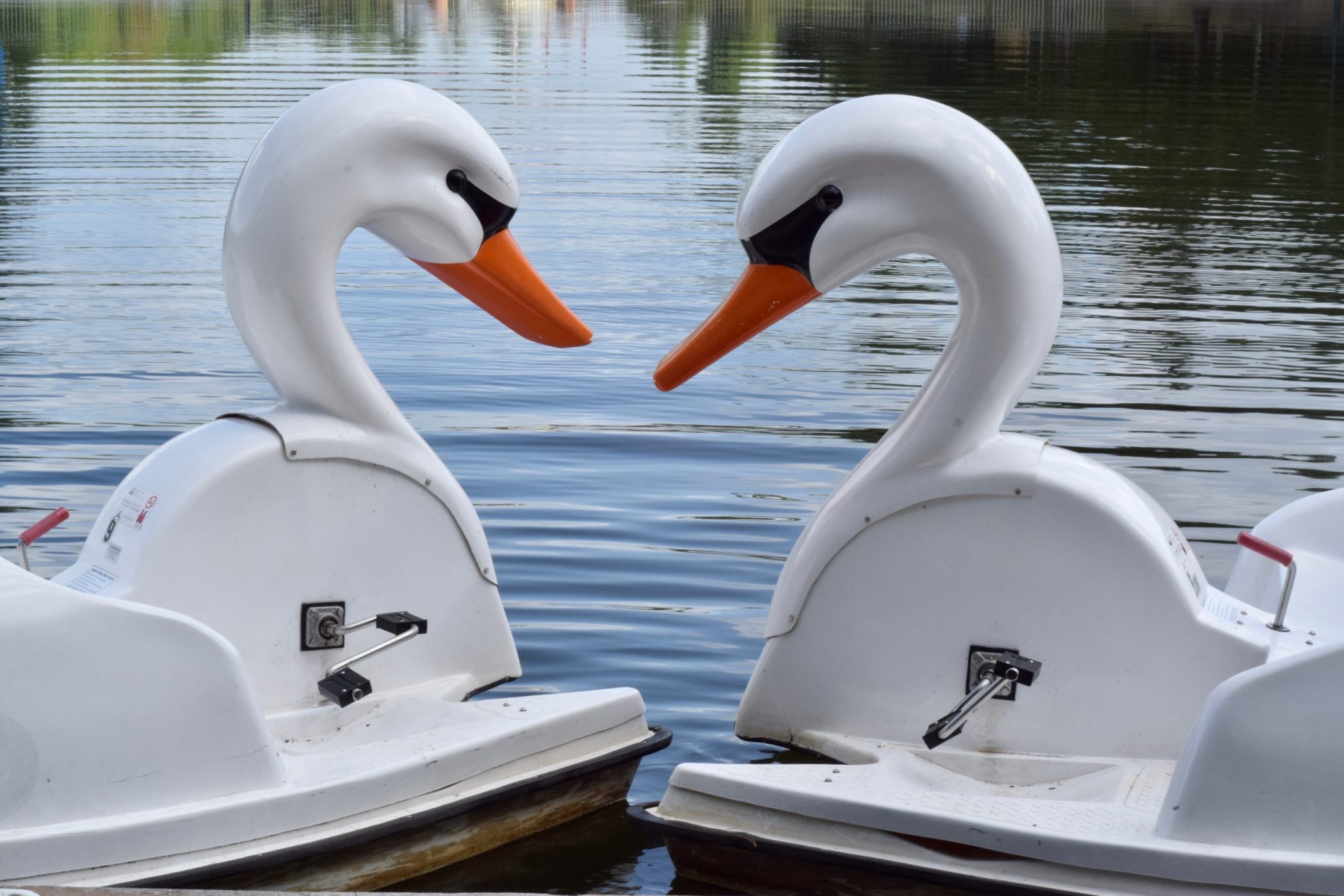 Swan Boat Rental in The Woodlands, TX | Riva Row Boat House