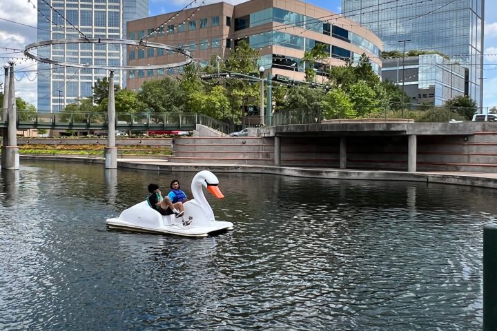 Swan Boat Rental in The Woodlands, TX | Riva Row Boat House