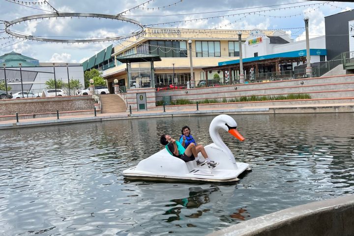 Swan Boat Rental in The Woodlands, TX | Riva Row Boat House